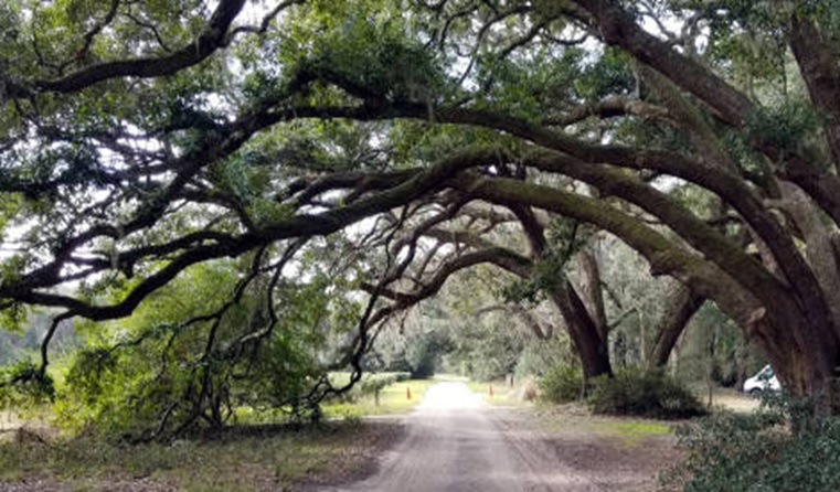 What is the difference between a dock and a wharf? - Sh Design House ...